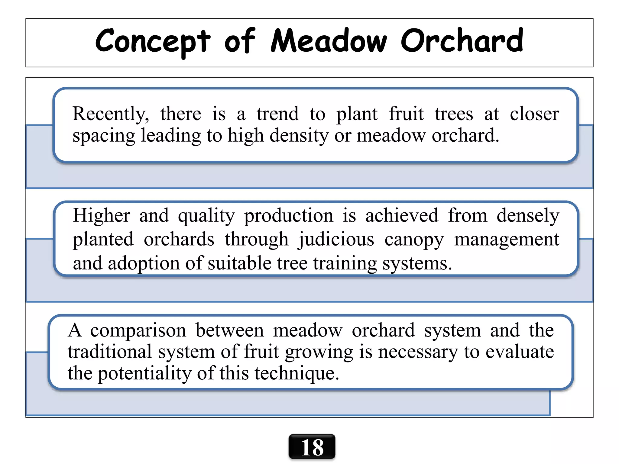 Meadow orchrad in_guava | PPTX