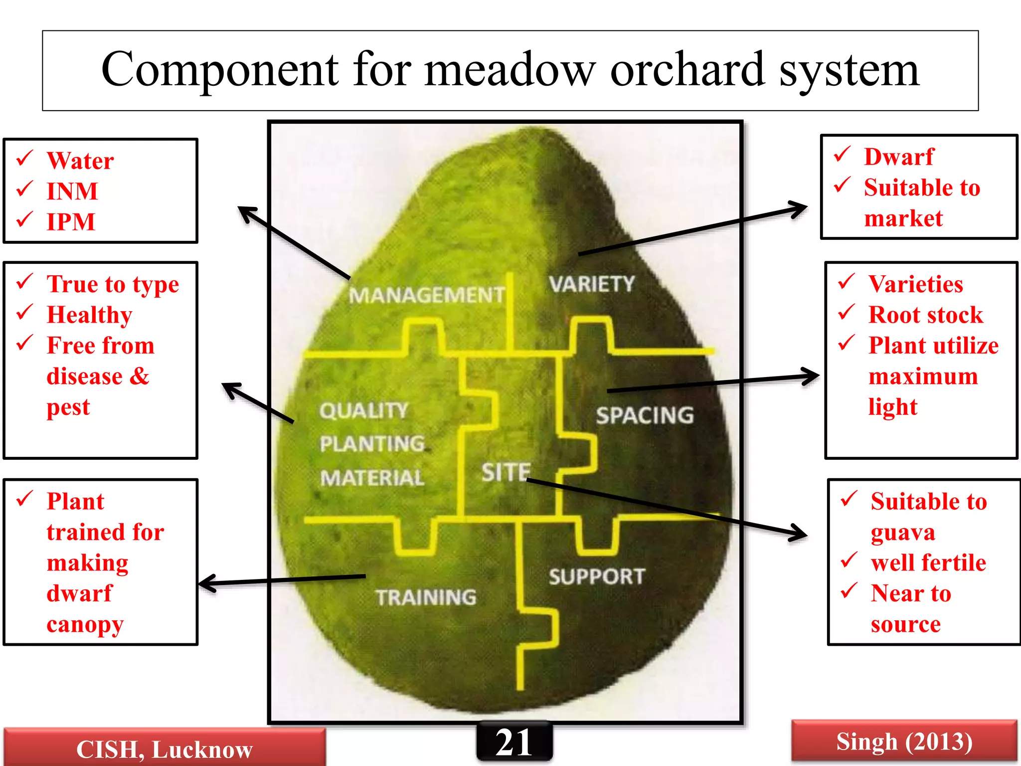 Meadow orchrad in_guava | PPTX