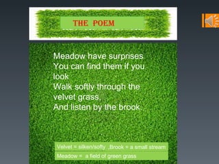 Meadow surprises cbse class vii. | PPT