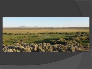 Meadow Valley Wash Drop Structure | PPT