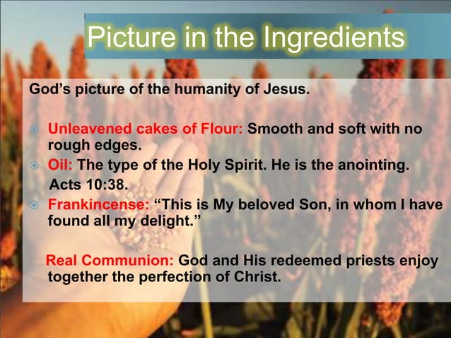 The Offerings - Meal Offering | PPT