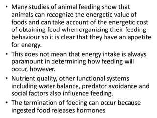 Meal Size and Food Selection.pptx