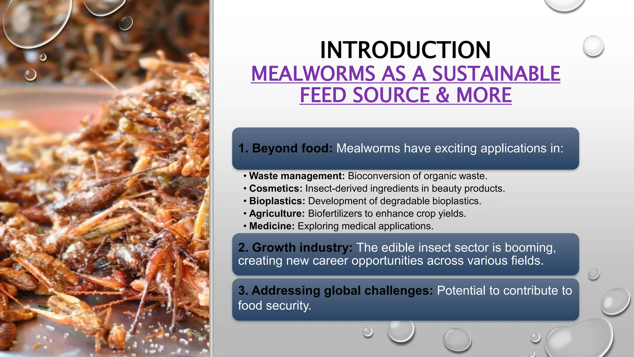 Mealworm as a sustainable Feed resource | PPTX