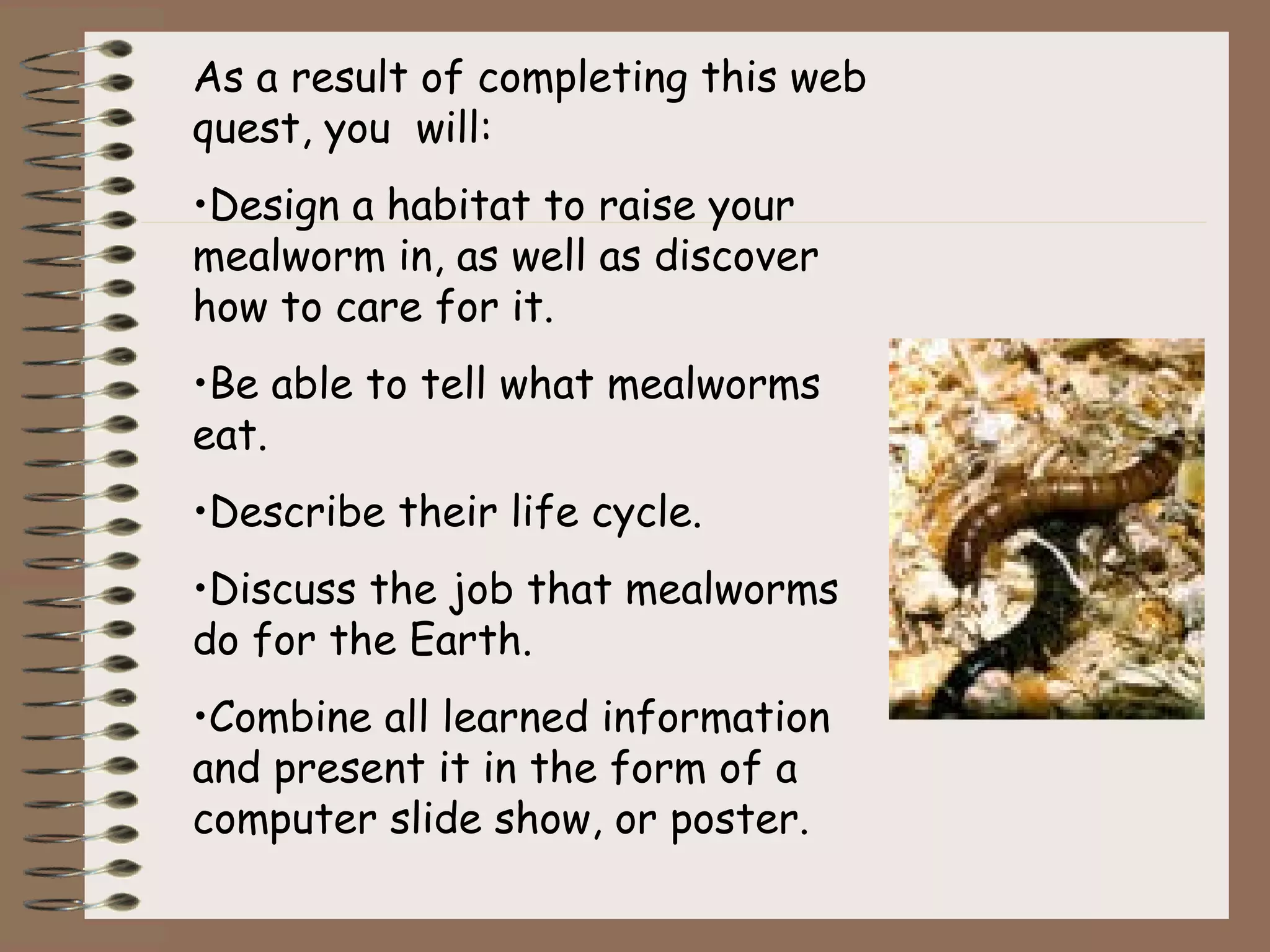 Mealworm WebQuest | PPT | Biological Sciences | Science