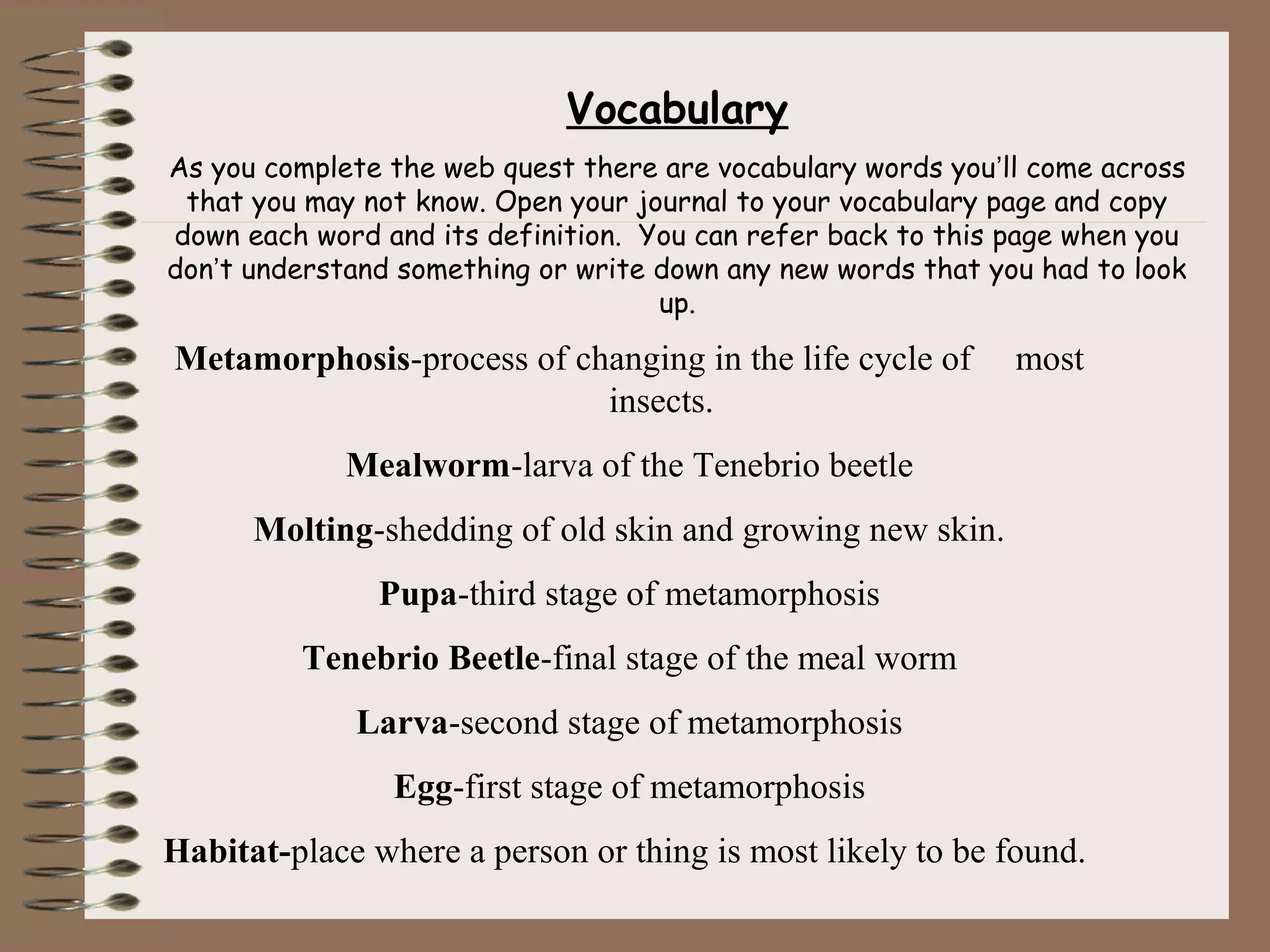 Mealworm WebQuest | PPT | Biological Sciences | Science