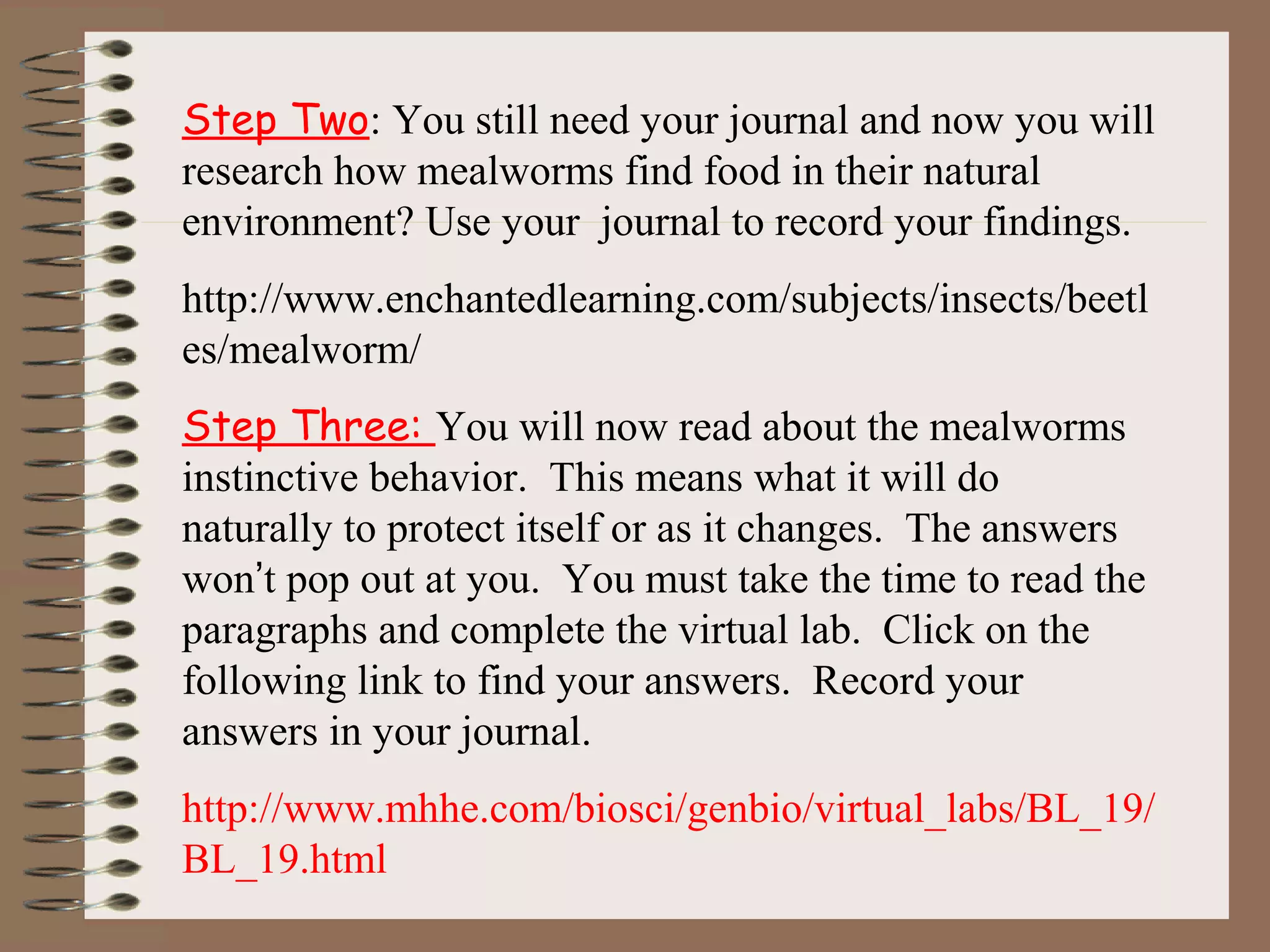 Mealworm WebQuest | PPT | Biological Sciences | Science