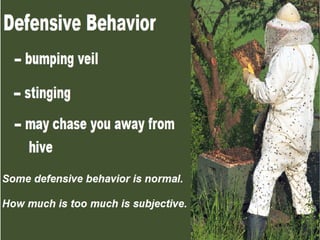 Managing Defensive Bees | PDF
