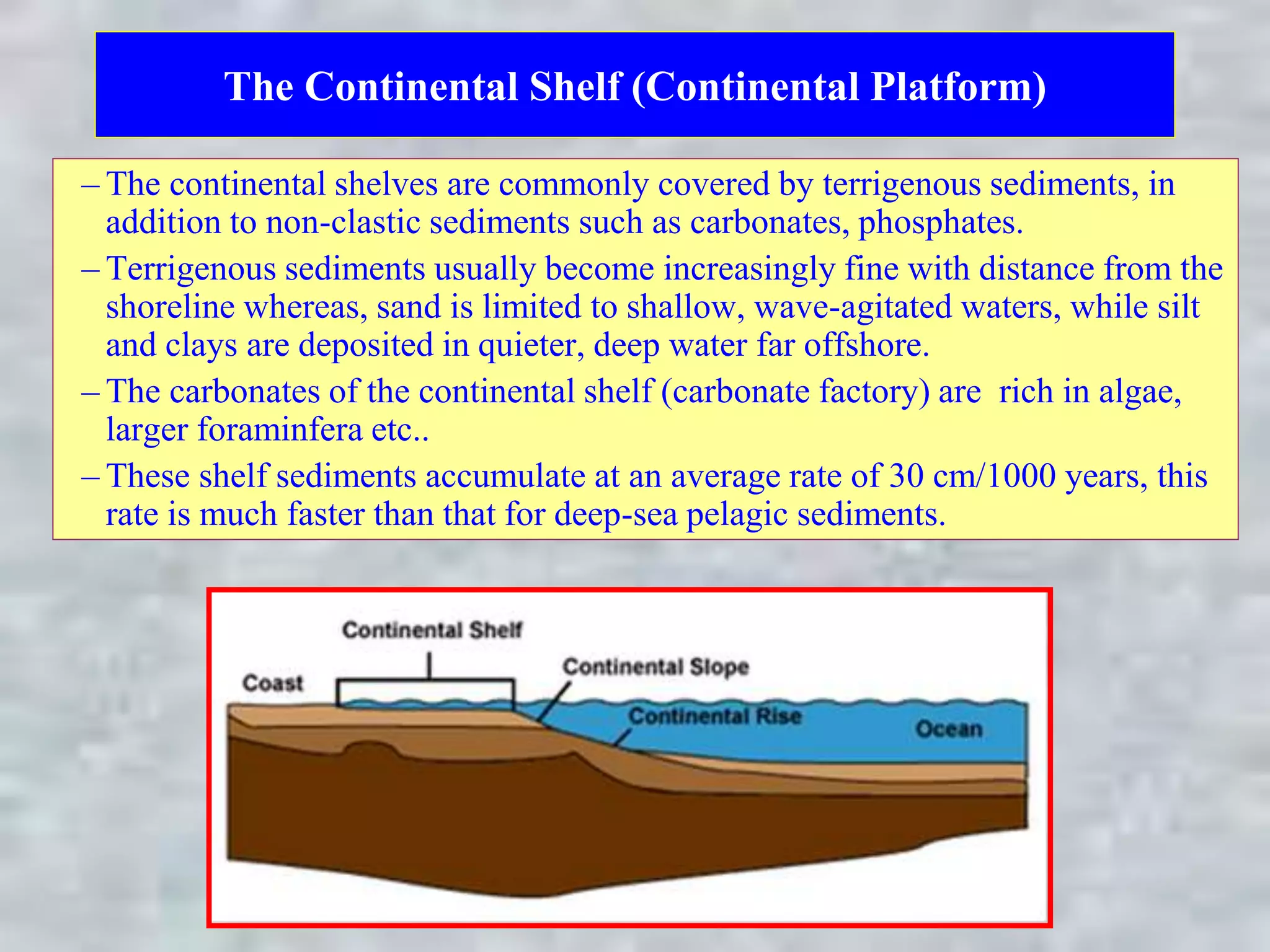 Meandering channels.ppt