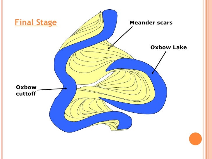 Cross section of a meander diagram - iestery