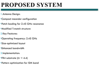 Meander line project - final review.pptx