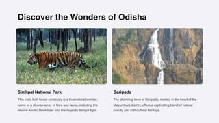 me and my habitat nature of odisha india | PDF