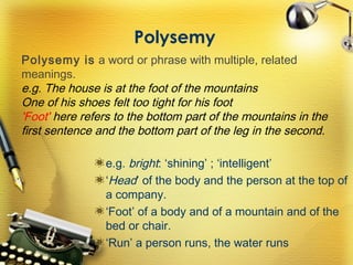 Meaning relations and properties | PPT