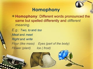 Meaning relations and properties | PPT