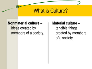 Meaning of culture | PPT