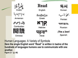 Meaning of culture | PPT