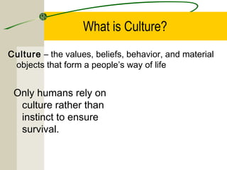 Meaning of culture | PPT