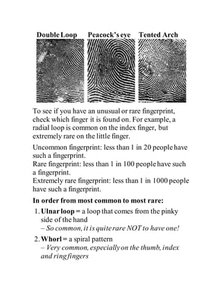 Meaning of fingerprints | DOCX