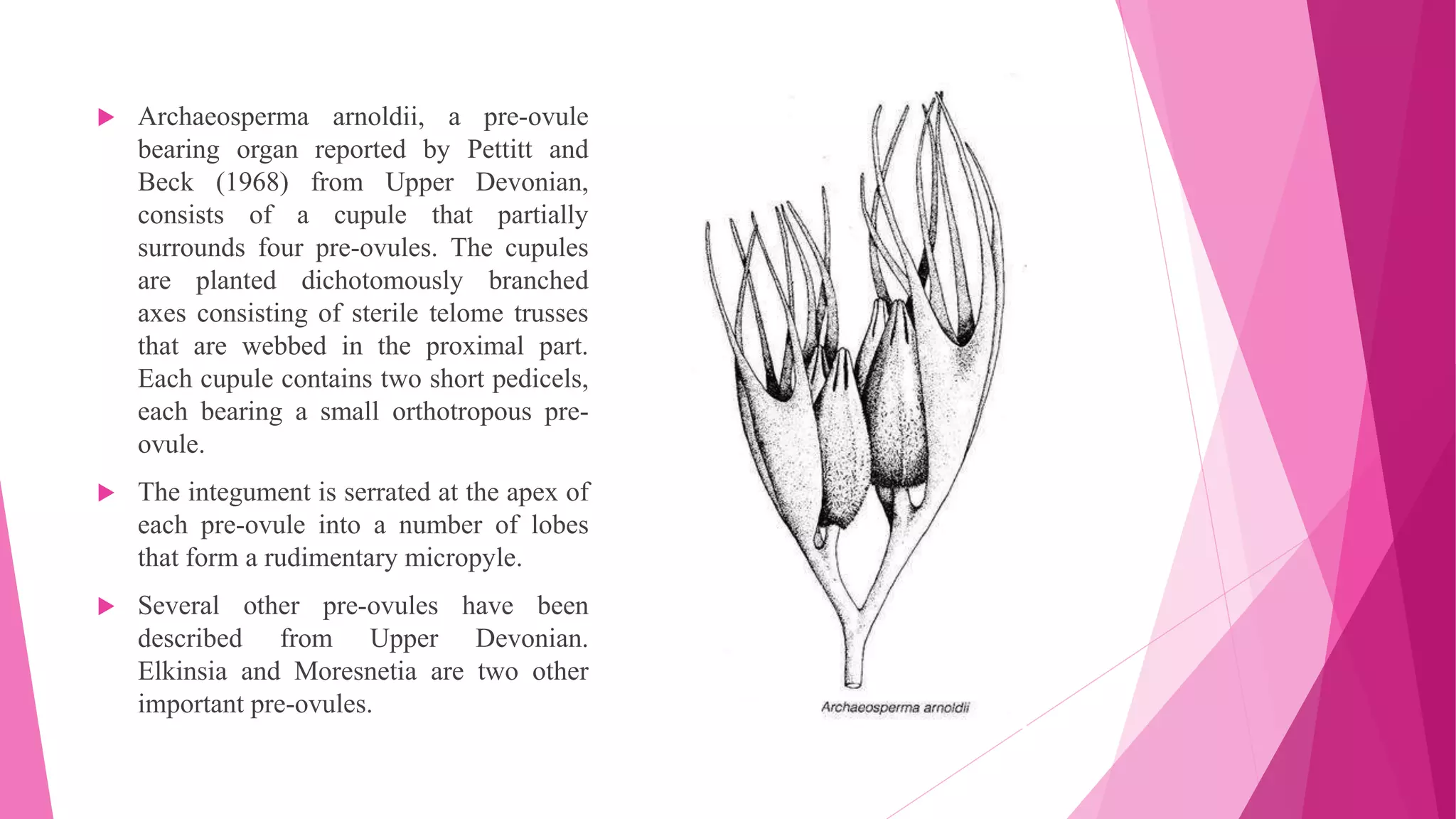 Meaning of seed habit of pre ovule | PPTX