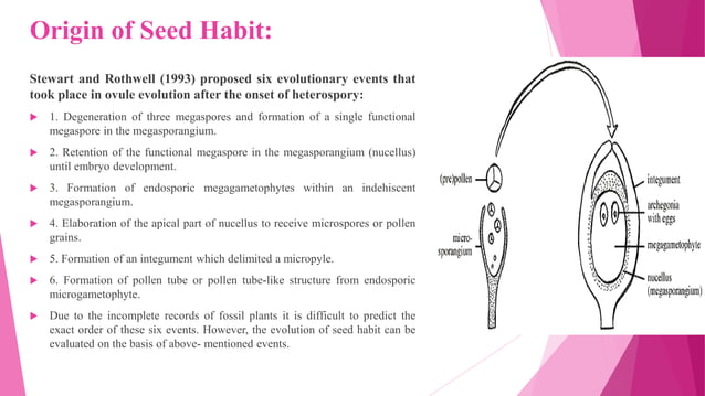 Meaning of seed habit of pre ovule | PPTX | Biological Sciences | Science