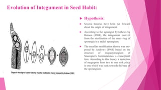 Meaning of seed habit of pre ovule | PPTX