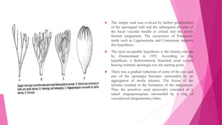 Meaning of seed habit of pre ovule | PPTX