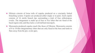 Meaning of seed habit of pre ovule | PPTX