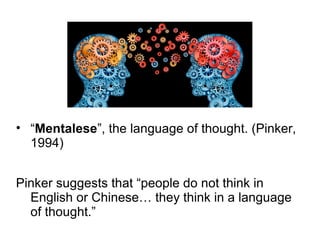 Meaning, thought and reality: How categories influence thinking. | PPT