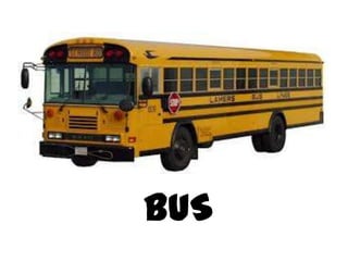 Means of transportation | PPTX