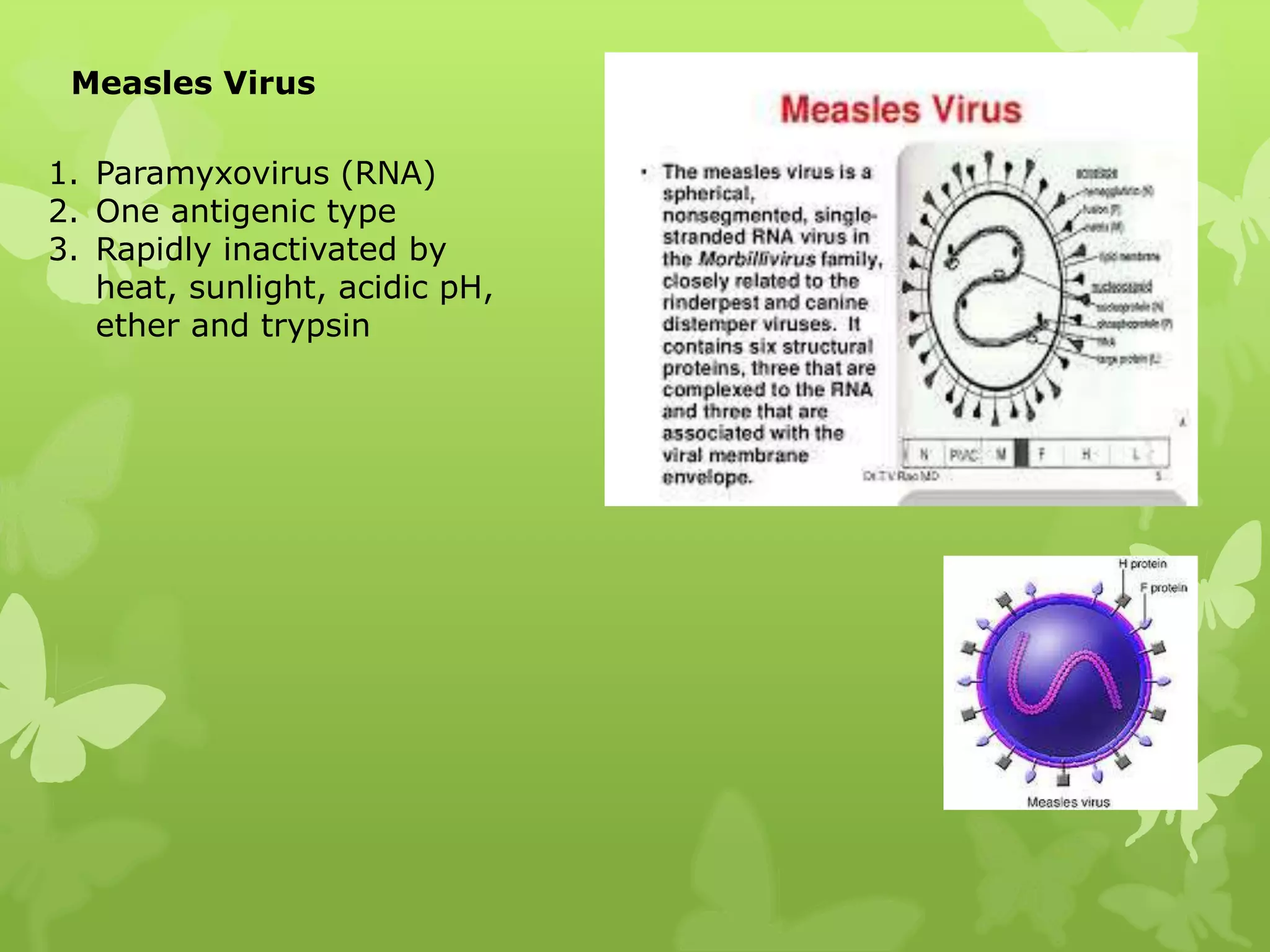 Measles | PPTX