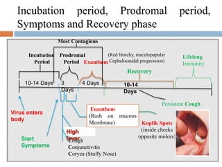 Do you know all about #measles pathogenesis, incubation period symptoms ...