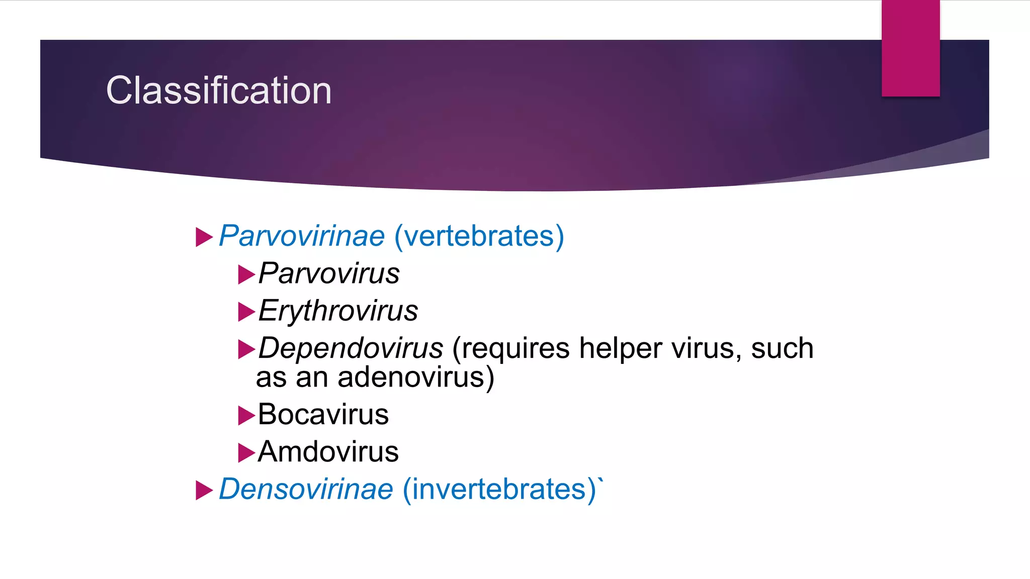 measles and parvovirus ppt.pptx