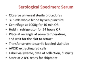 Measles Disease.pptx