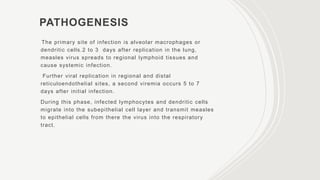 measles pathogenesis and prevention.pptx