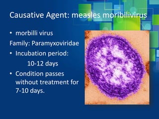 Measles and rubella | PPTX