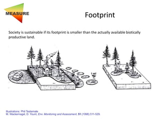 measure-training-module-sustainability-definitions (1).pptx