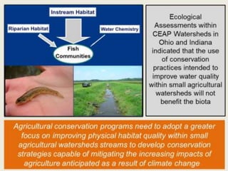 Measured effects of conservation | PPTX