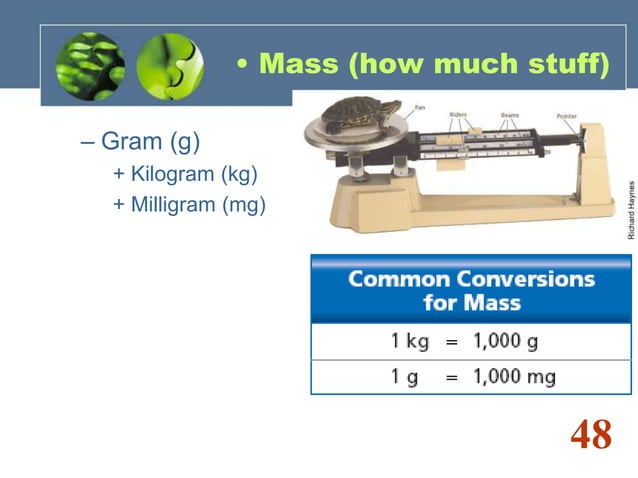Measurement Graphing | PPSX | Physics | Science