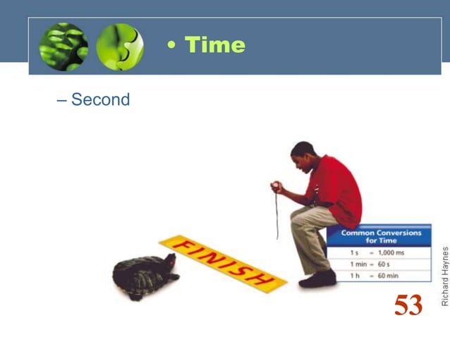 Measurement Graphing | PPT