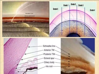 Measurement of angle of the AC.pptx