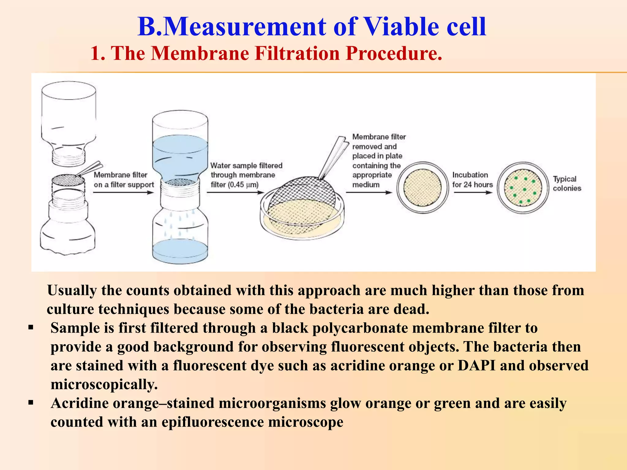 Measurement of microbial growth | PPTX