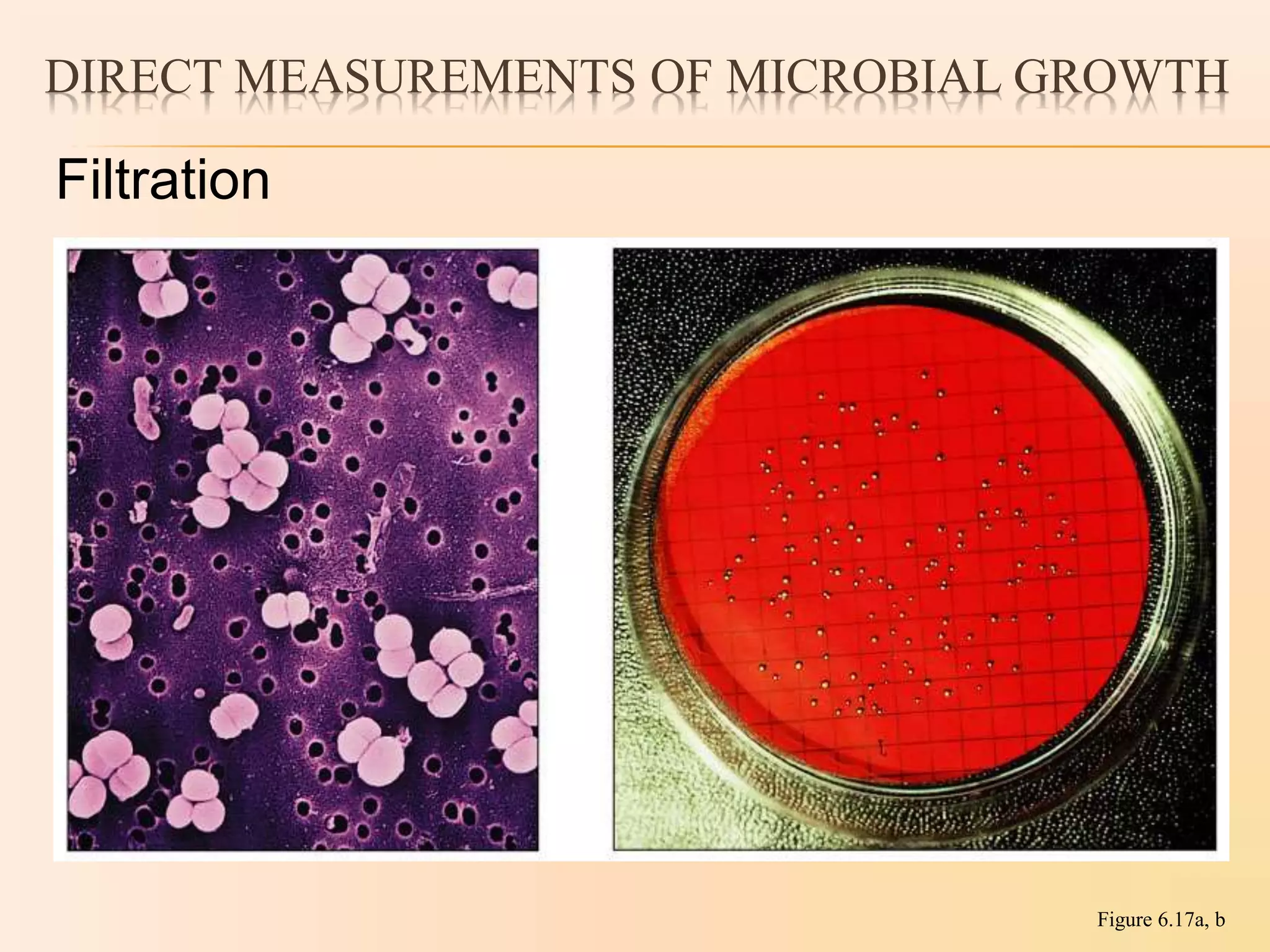Measurement of microbial growth | PPTX