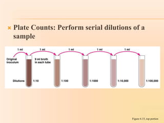 Measurement of microbial growth | PPTX