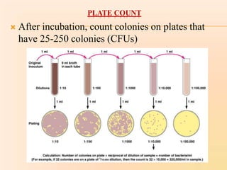 Measurement of microbial growth | PPTX