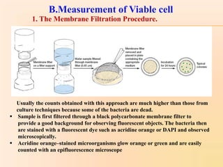 Measurement of microbial growth | PPTX