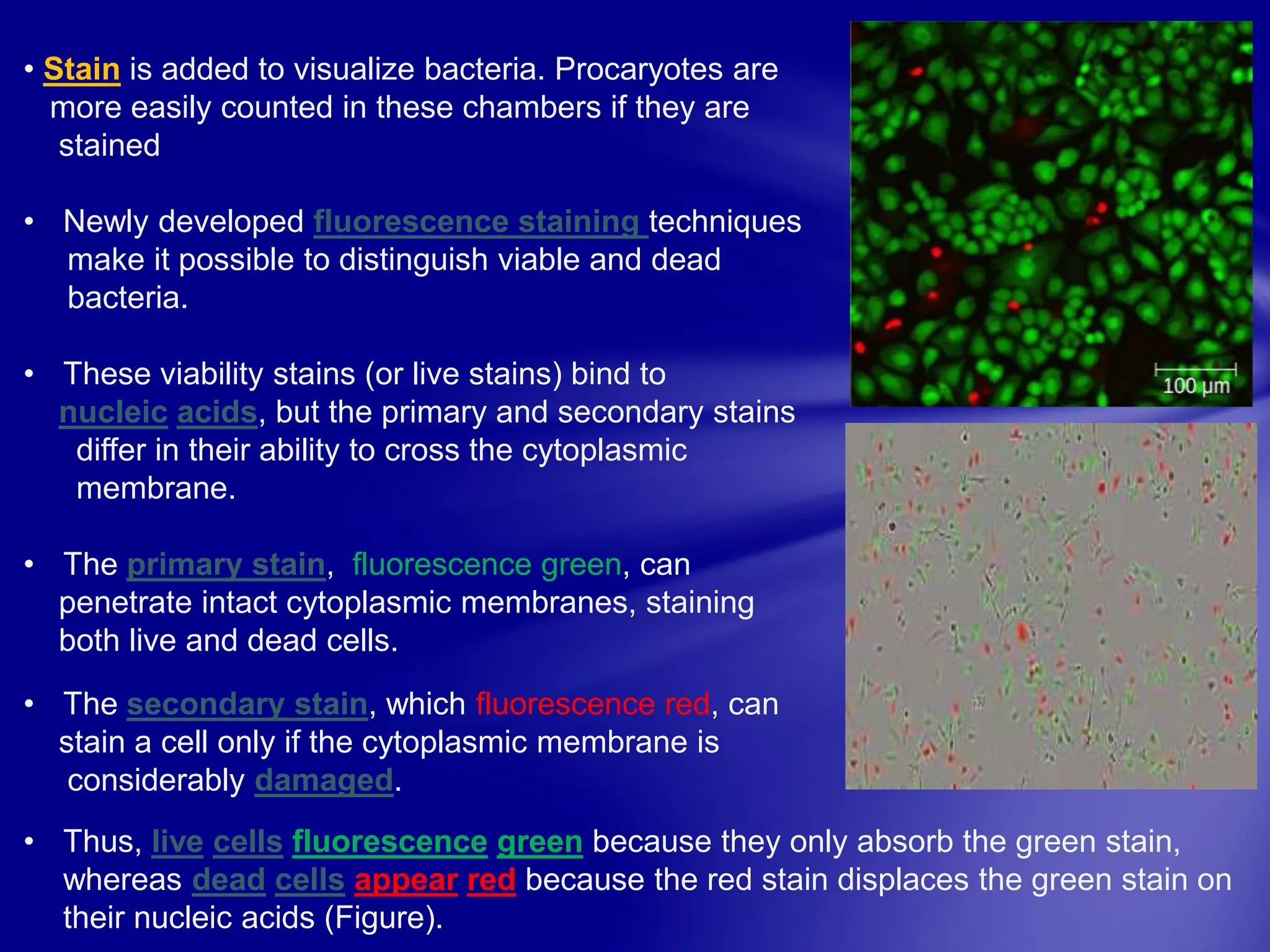 Measurement of microbial growth | PPTX
