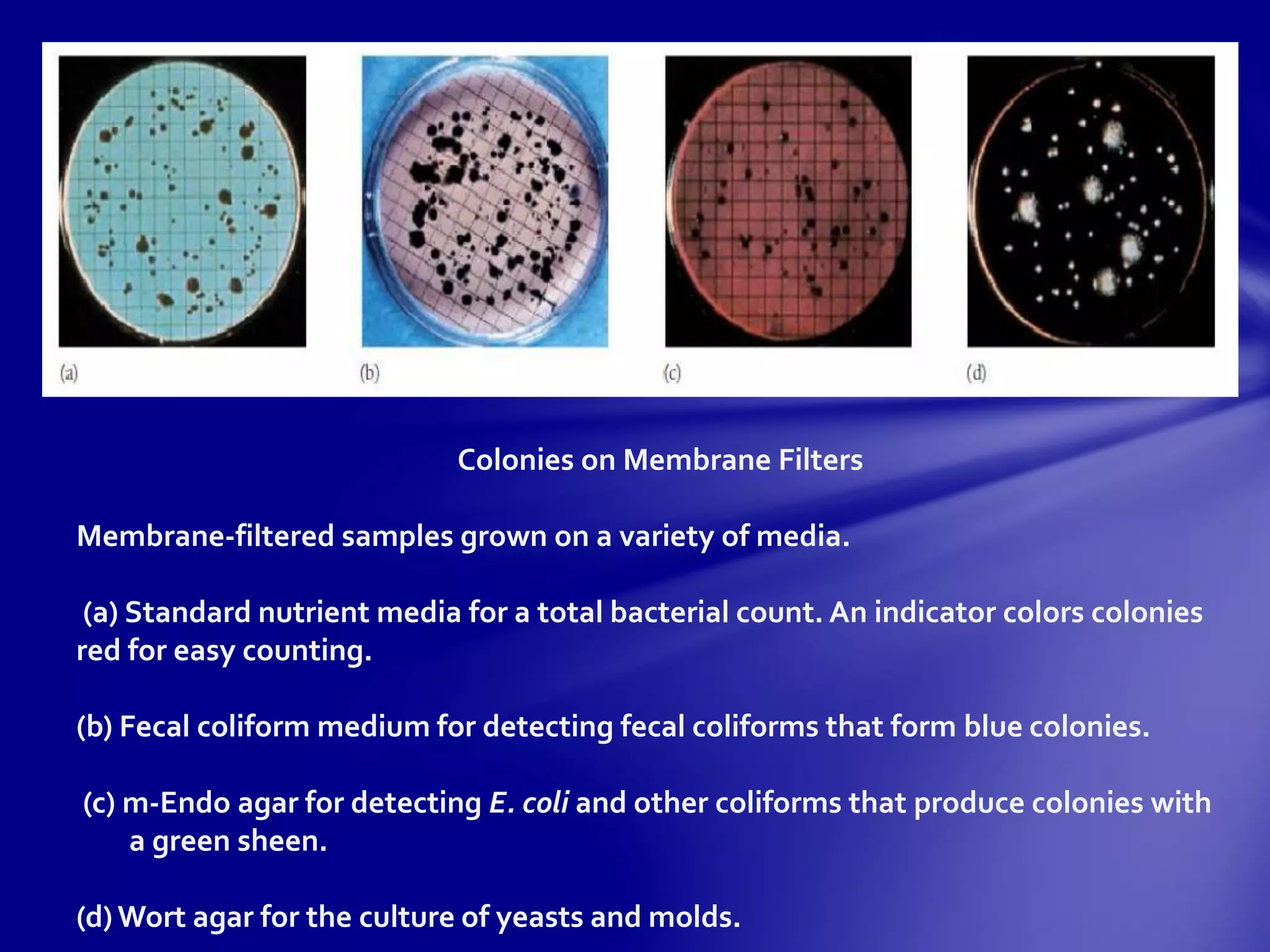Measurement of microbial growth | PPTX