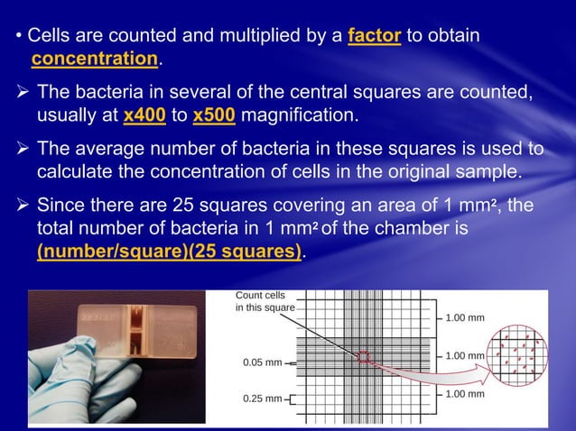 Measurement of microbial growth | PPTX