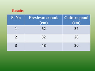 Measurement of water transparency | PPTX