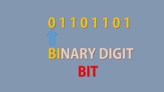 Measurements and Calculation Byte | PDF