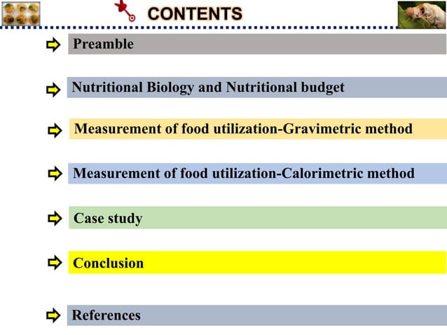 Measurements of food utilization_S.Srinivasnaik_RAD21-25.ppt